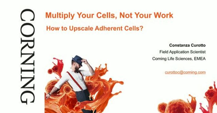 Corning Hyperstack Cell Culture Vessels Corning