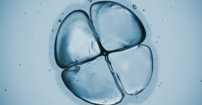 Falcon® Brand Products | Tubes, Dishes, Pipets, and Cell Culture ...