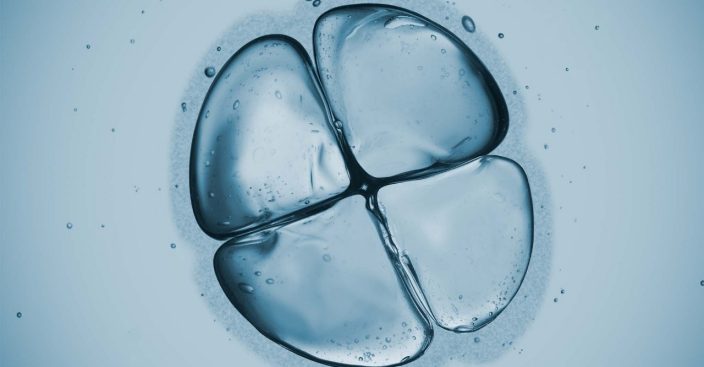 Falcon® Brand Products | Tubes, Dishes, Pipets, and Cell Culture ...