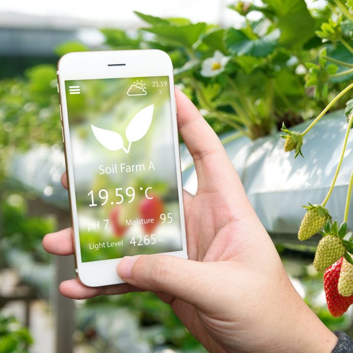 Smart Rural Communities | Community Broadband | Corning