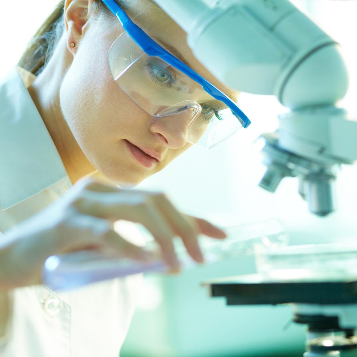 Optical Fiber | Optical Fiber Products | Corning