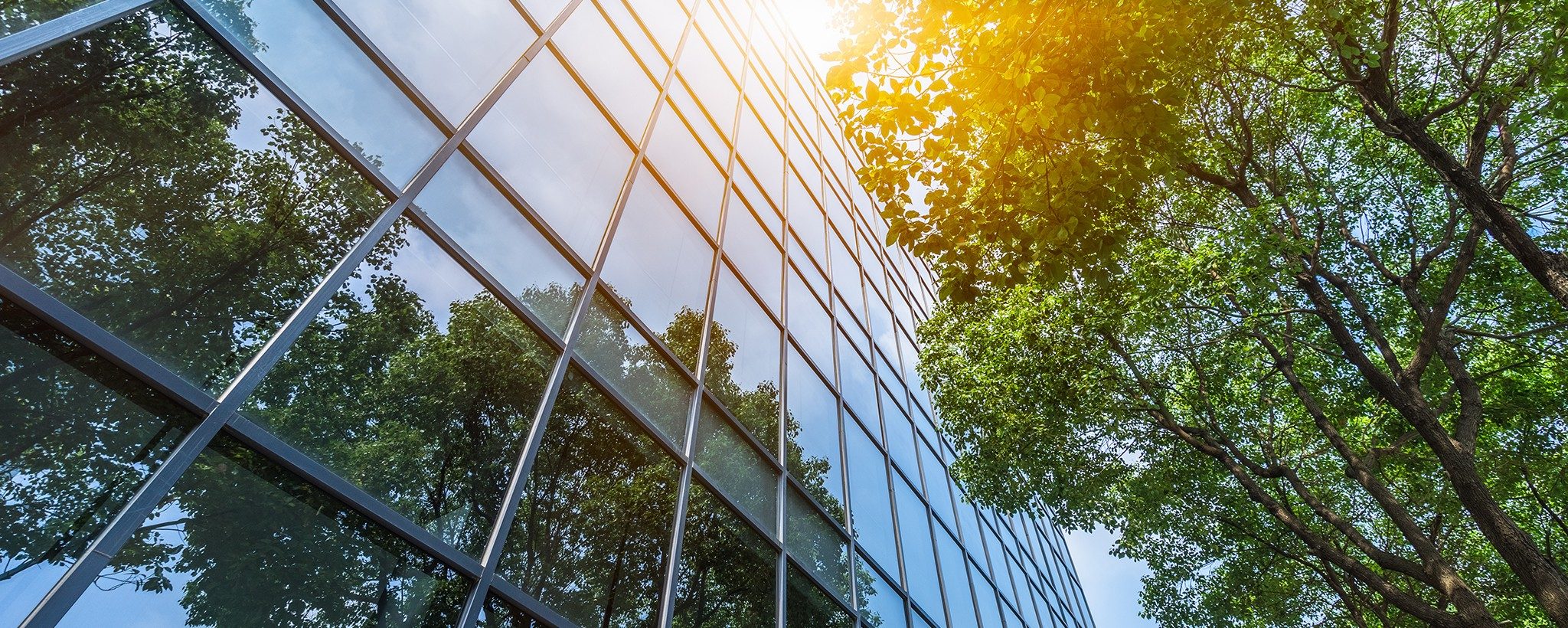 Optical Fiber | Optical Fiber Products | Corning