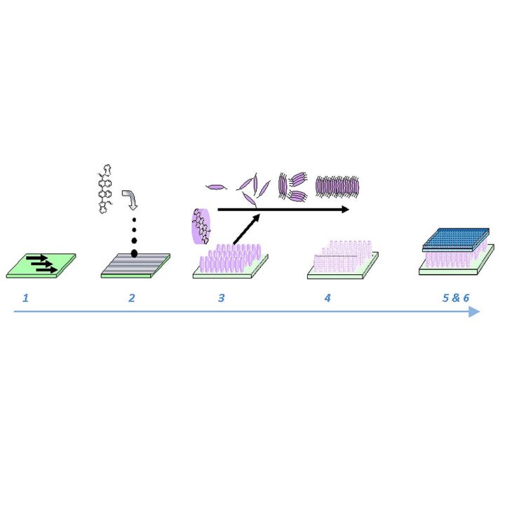 Polar Coat Polarized Coating | Polarizing Technology | Corning