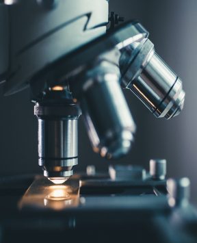 Early Career Programs | Internship and Rotational Programs | Corning