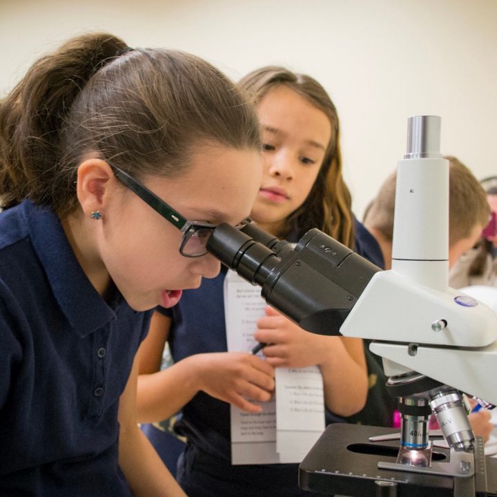 STEM Program Reaches National Network of Providers | Community ...
