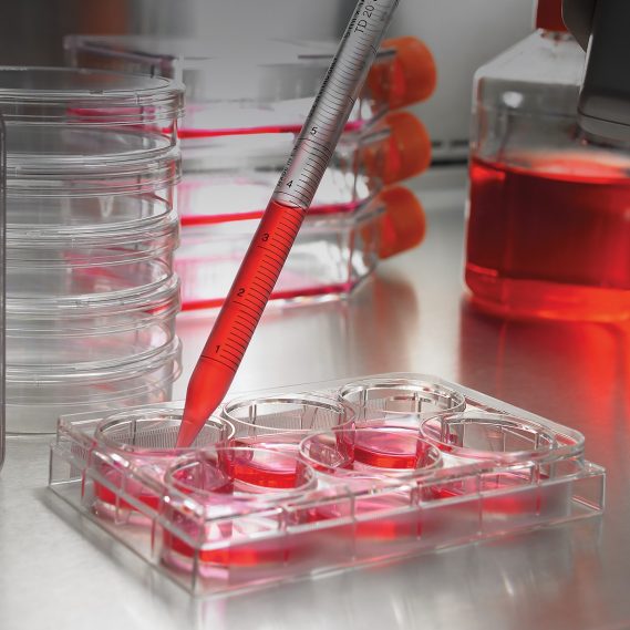 Corning | Corning.com