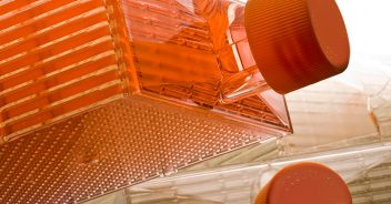 Cell Therapy Solutions | Cell and Gene Therapy Equipment | Corning