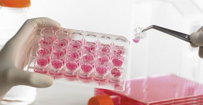 Corning | Materials Science Technology and Innovation