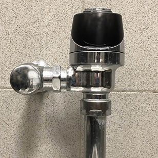 Optical Plants Flush Out Water Waste