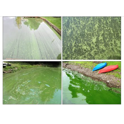 How Corning’s hyperspectral sensor helps scientists tackle New York’s ...