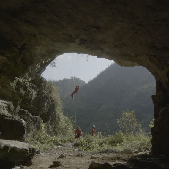 Incredibly Tough | Jade Dragon Cave | Corning Gorilla Glass